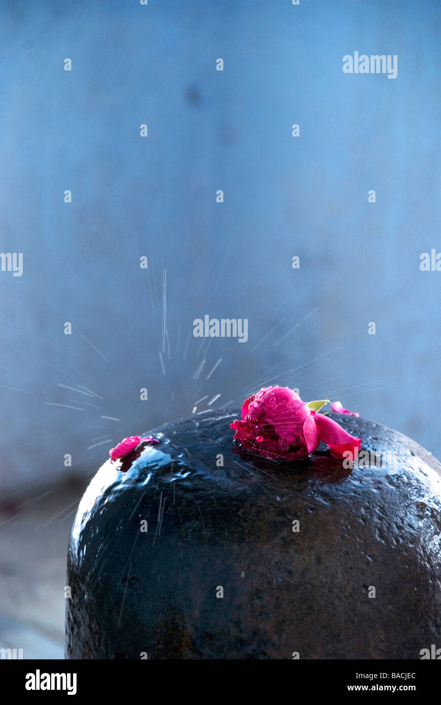 India, Rajasthan State, Pushkar, lingam, phallic symbol of the god ...