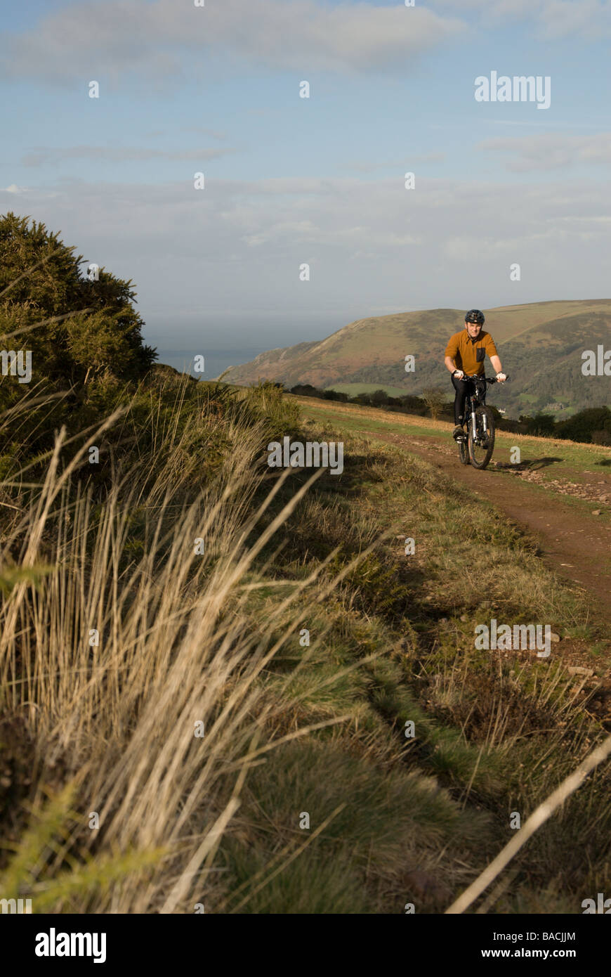 Exmoor hills hi-res stock photography and images - Alamy