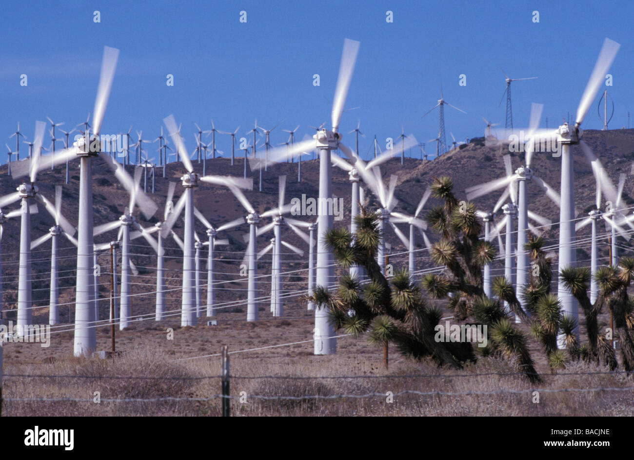 Wind Farm Albany High Resolution Stock Photography and Images - Alamy