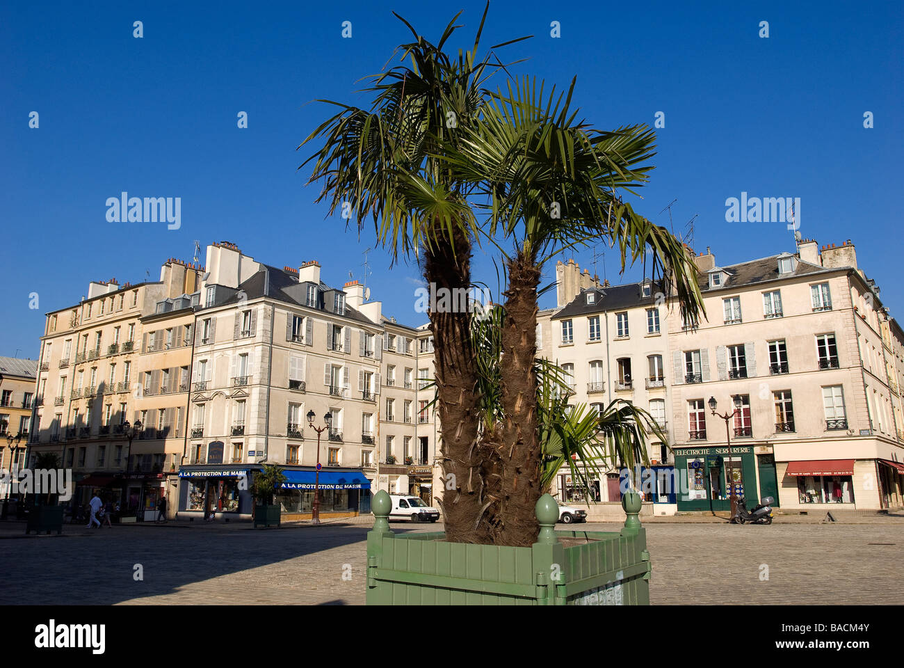 France, Yvelines, Versailles, Saint Louis Cathedral Square, palm trees ...