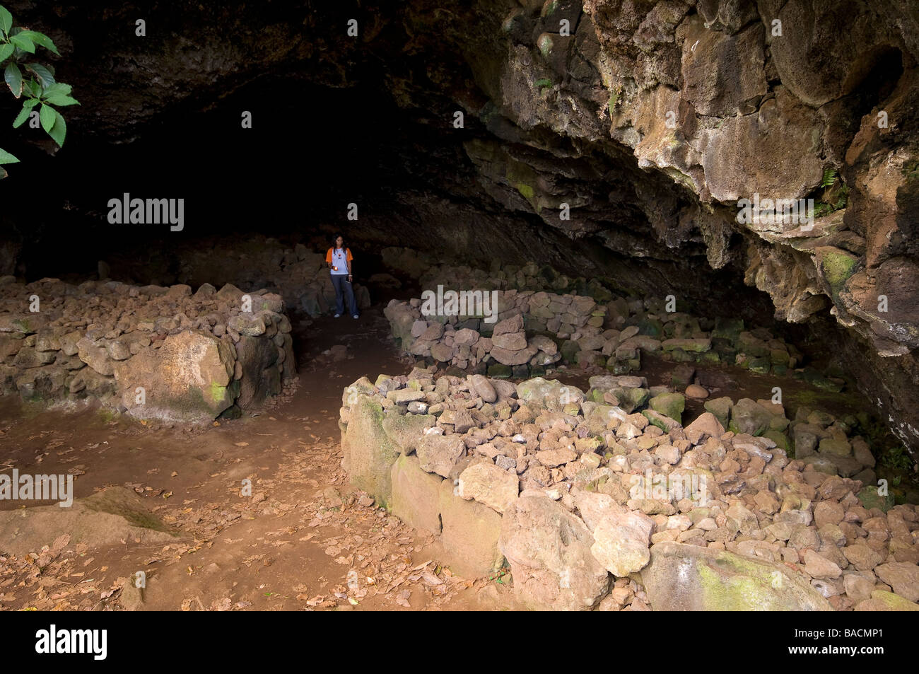 Pahu hi-res stock photography and images - Alamy