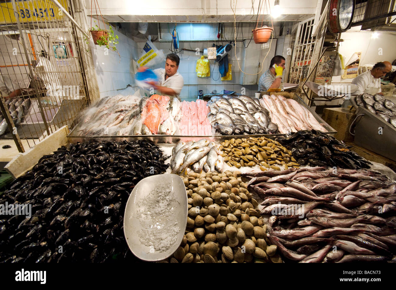 Chile, Santiago Region, Santiago de Chile, Central Market, fish display ...