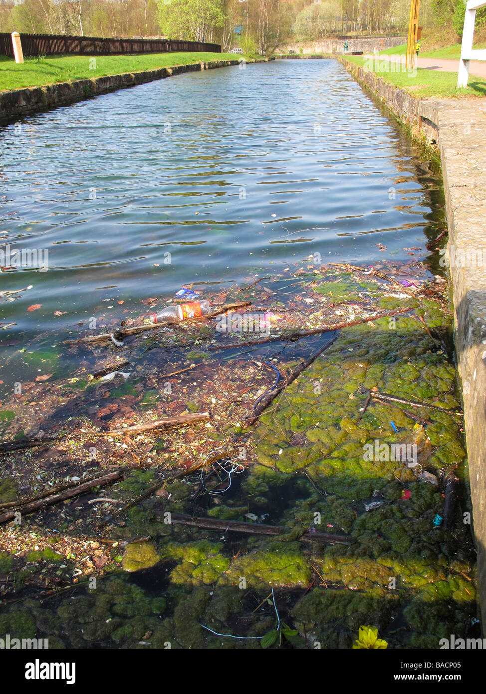 Accumulated rubbish in canal Stock Photo - Alamy