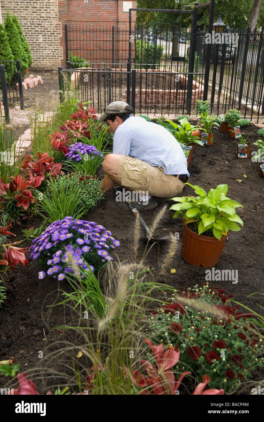 Hispanic Italian landscaping architect working in raised perennial ...