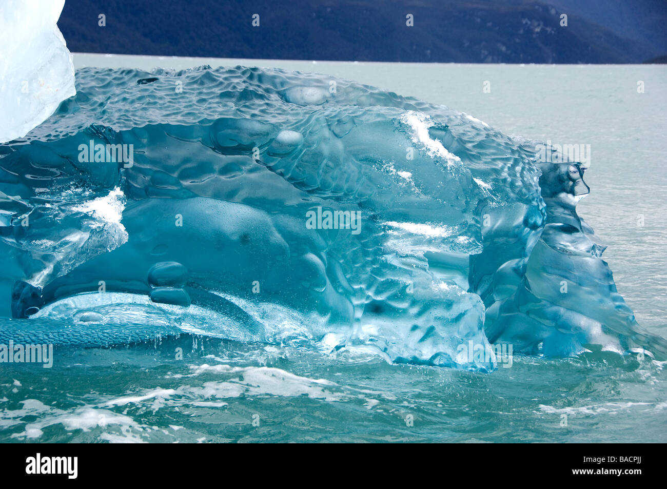 Chile, Southern Patagonia, Magellan Region, Eyre Fjord, floating ...
