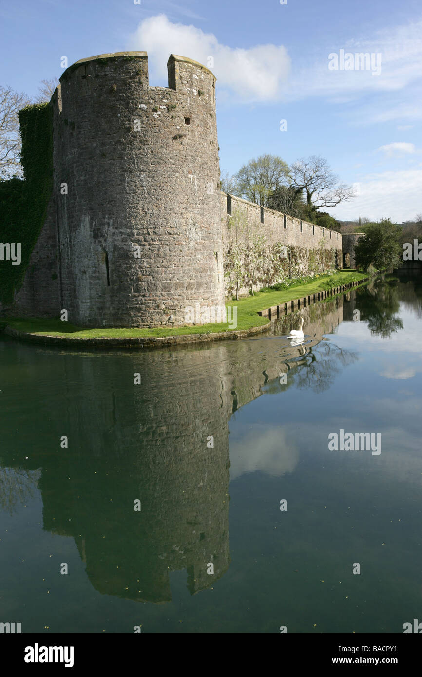 City of Wells, England. Scenic sunny view of a swan in the moat at the ...