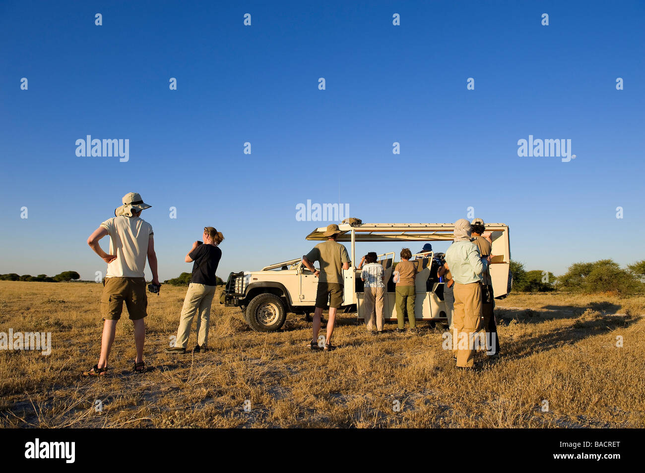 Botswana, Central Kalahari Game Reserve, safari Stock Photo - Alamy