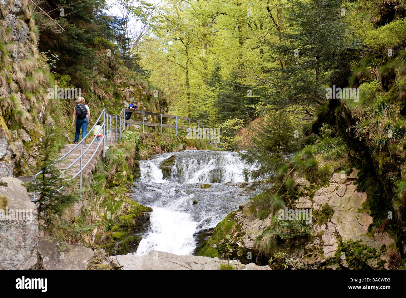 Germany, Black Forest, Schwartzwald, Baden Wurttemberg, Allerheiligen ...