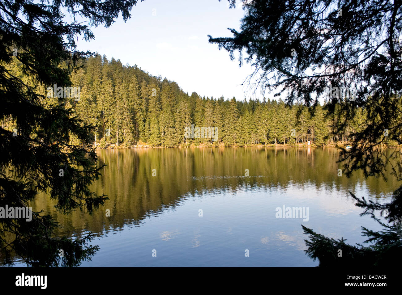 Germany, Black Forest, Schwartzwald, Mummelsee Stock Photo - Alamy