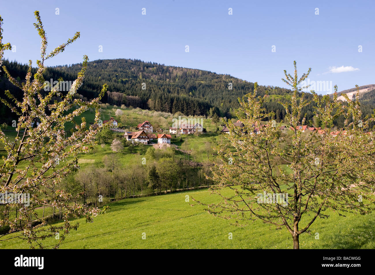 Germany, Black Forest, Schwartzwald Stock Photo - Alamy