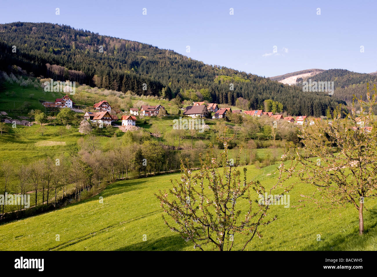 Germany, Black Forest, Schwartzwald Stock Photo - Alamy