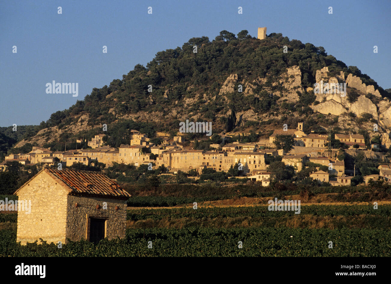 France, Vaucluse, Seguret, labelled the Plus Beaux Villages de France ...