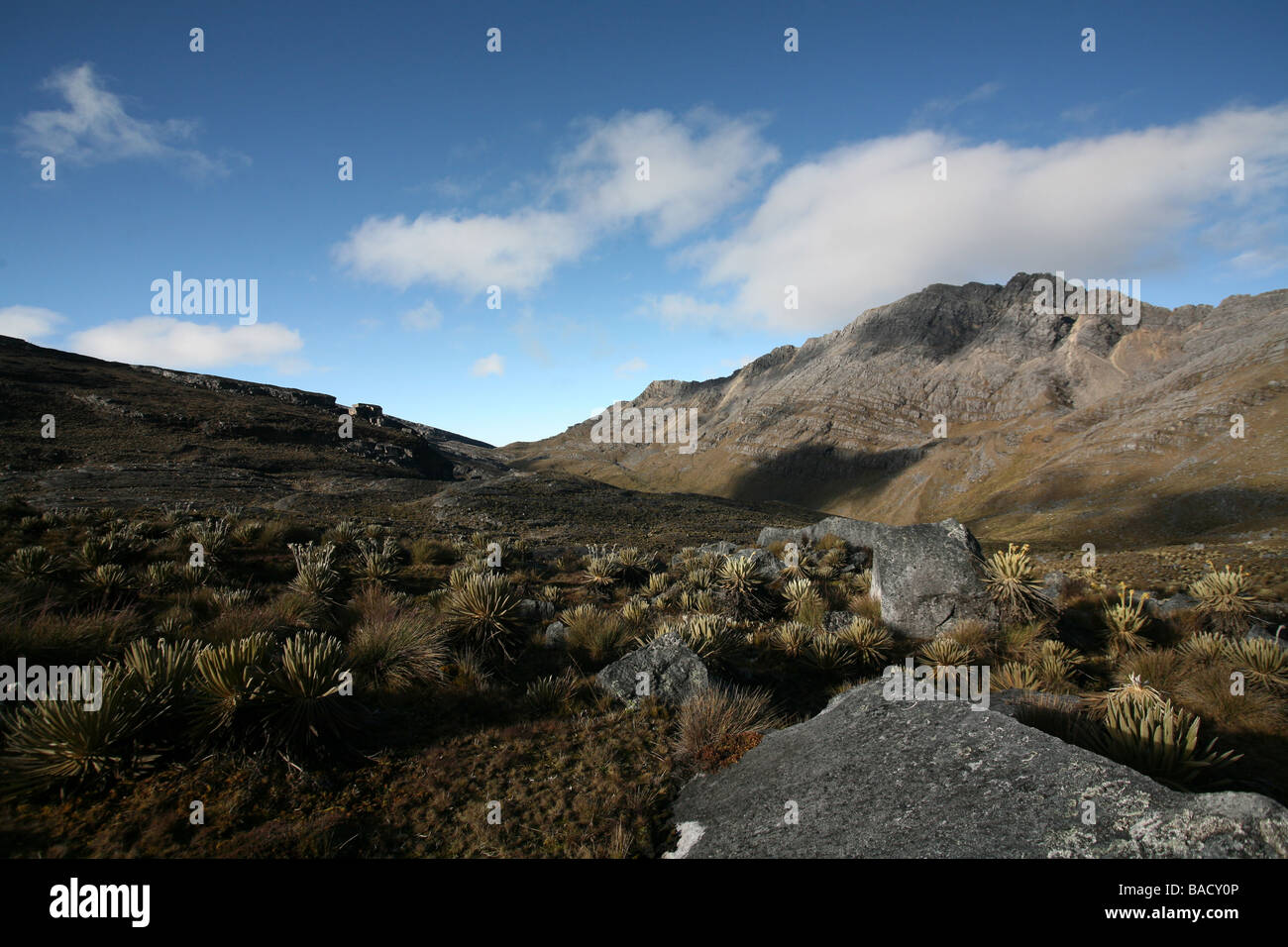 Parque Nacional Natural El Cocuy, Colombia Stock Photo - Alamy