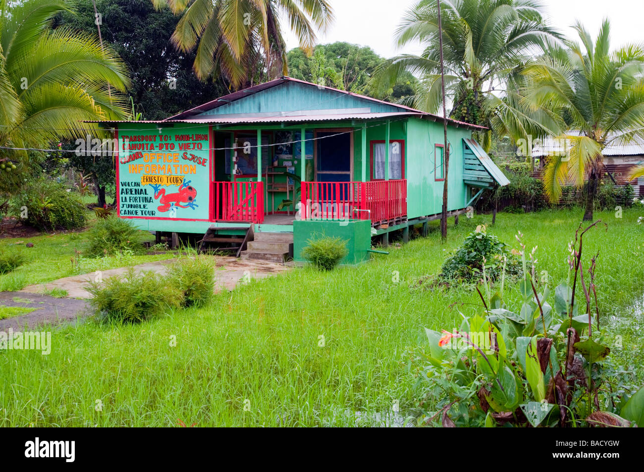 The modest pastel colored homes in Tortuguero Costa Rica Central ...