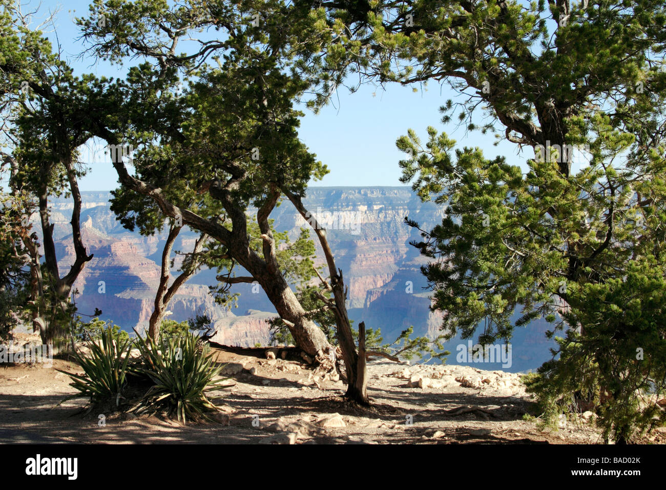 Hermit shale grand canyon hi-res stock photography and images - Alamy