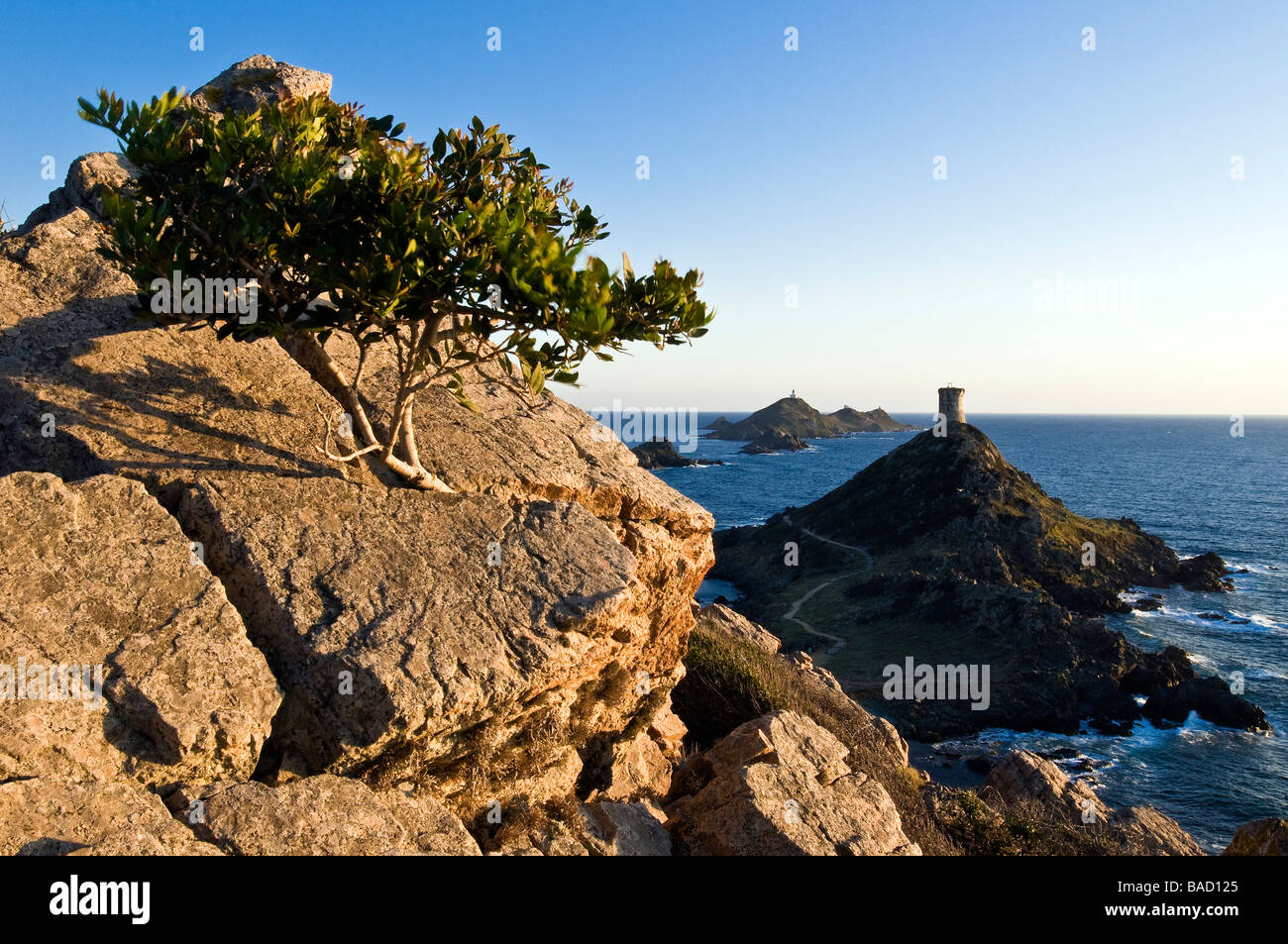 Natural zone hi-res stock photography and images - Alamy