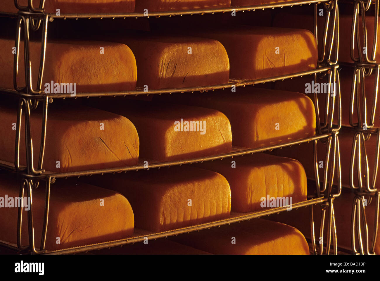 Orval abbey cheese hi-res stock photography and images - Alamy