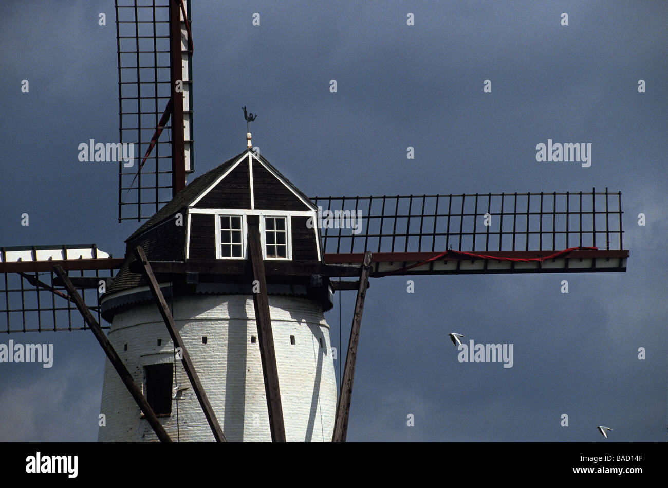 Belgium, Flanders, Damme, windmill Stock Photo - Alamy