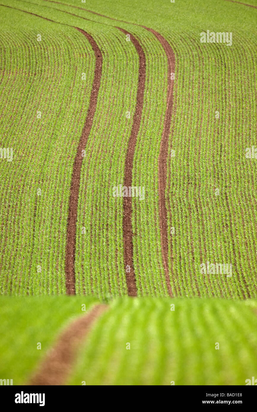 Rolling barley hi-res stock photography and images - Alamy