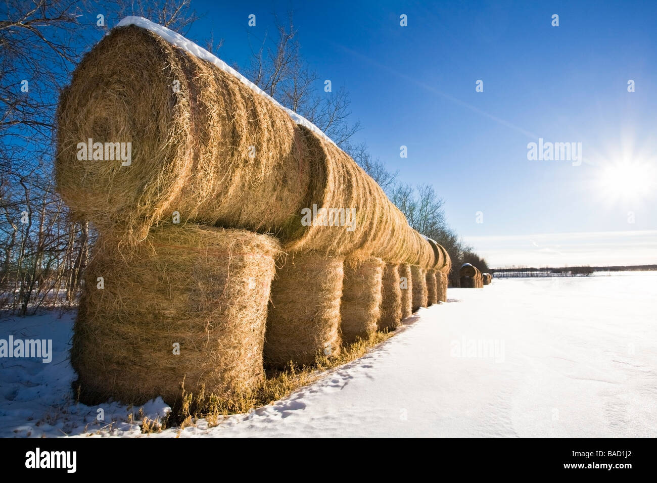 Dried hay bale hi-res stock photography and images - Alamy