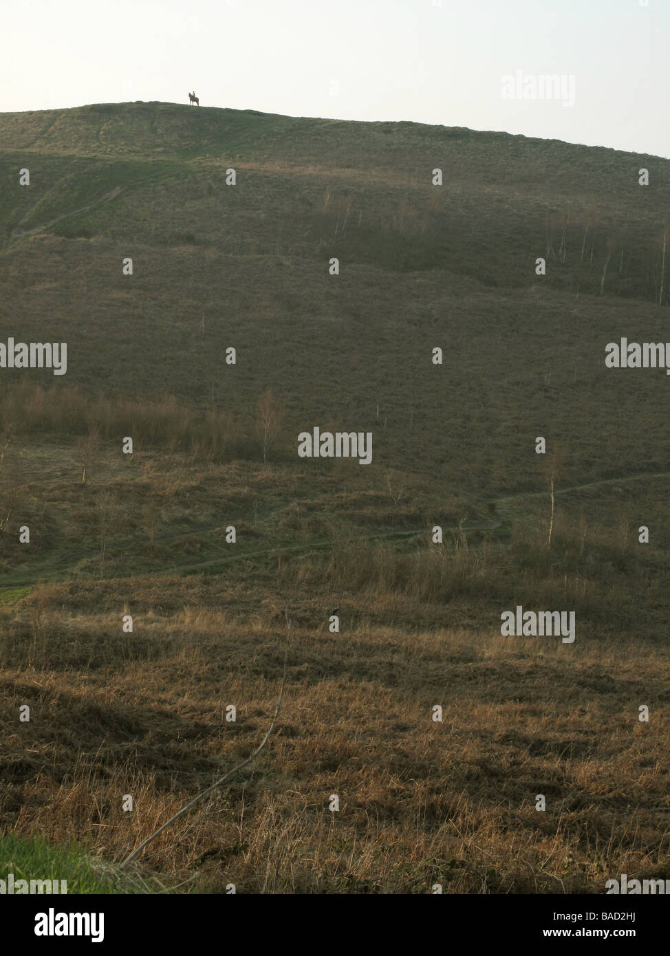 Rudry hi-res stock photography and images - Alamy