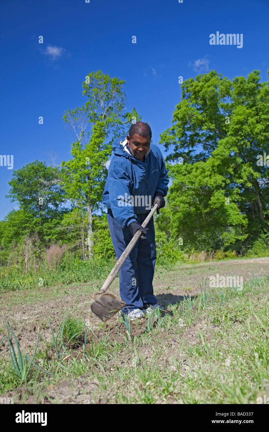 Indian Farmers Field High Resolution Stock Photography and Images - Alamy