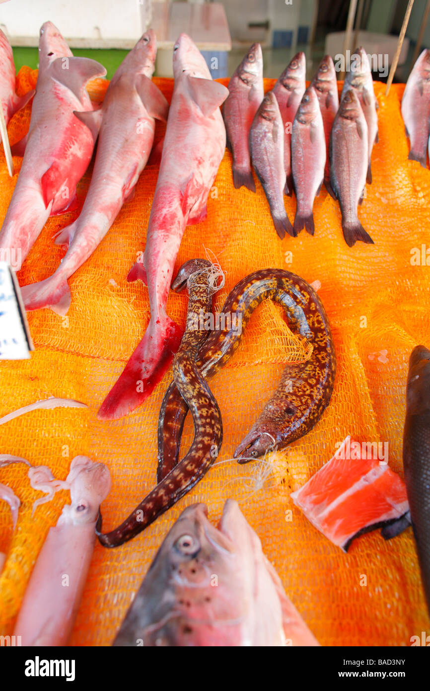 Bellaro Market, Palermo, Sicily, Italy Stock Photo - Alamy