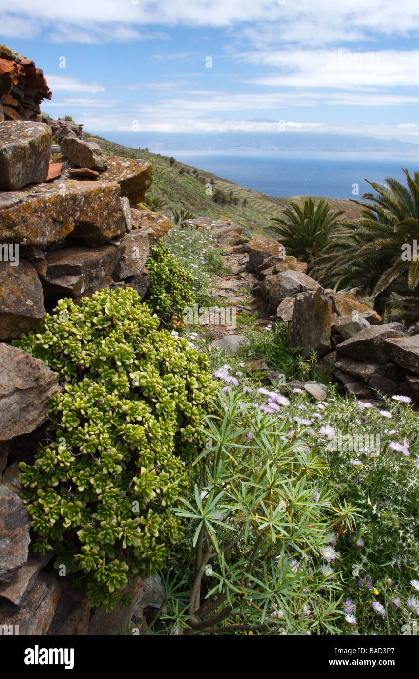 Derelict farm house in the Majona Natural Reserve on La Gomera. This is ...