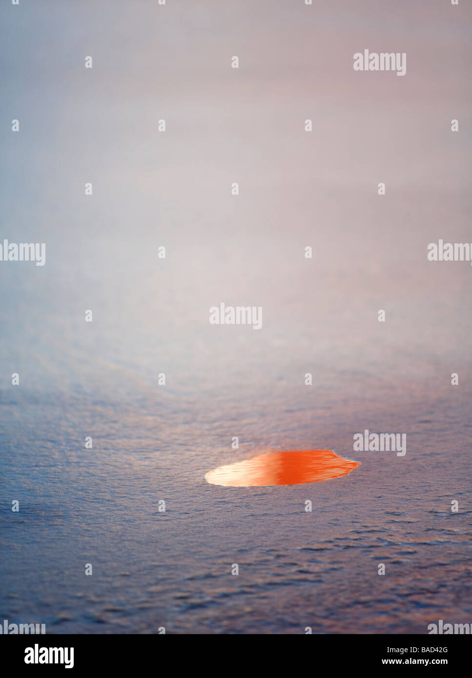 Hole in the ice skim layer Stock Photo - Alamy