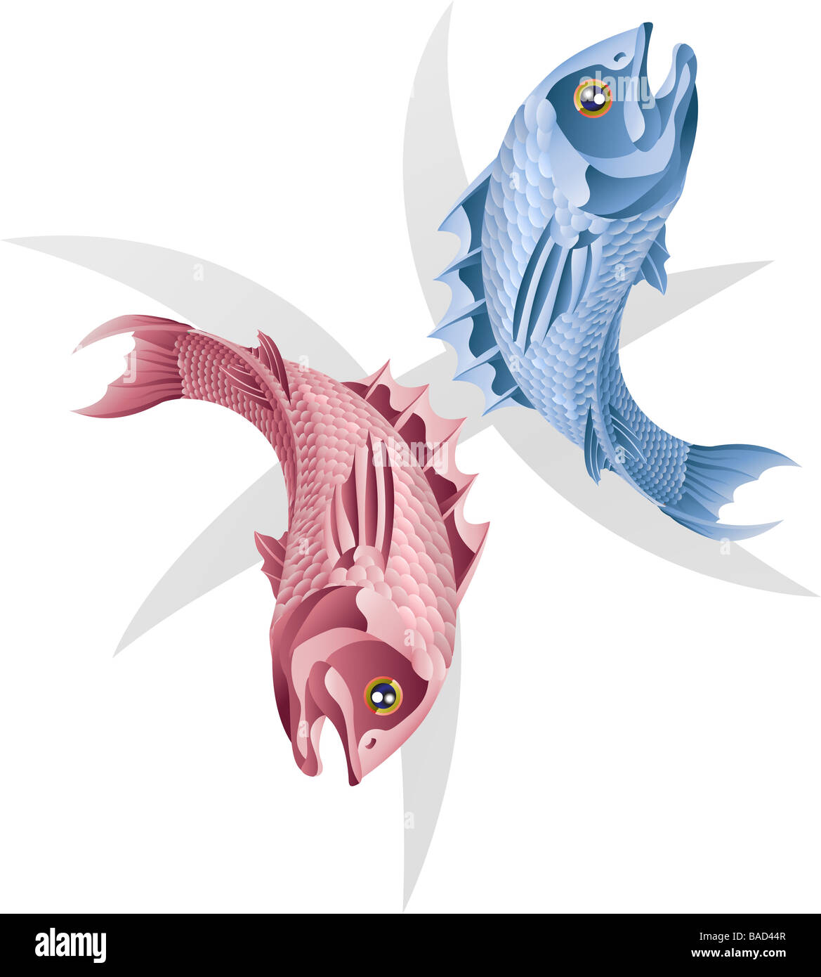 Illustration representing Pisces the fish star or birth sign Includes ...
