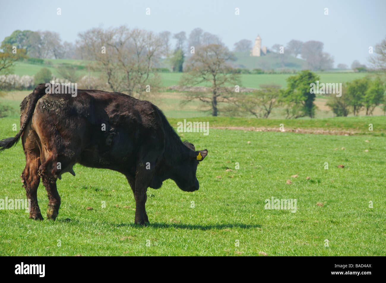 St michaels mount markington hi-res stock photography and images - Alamy