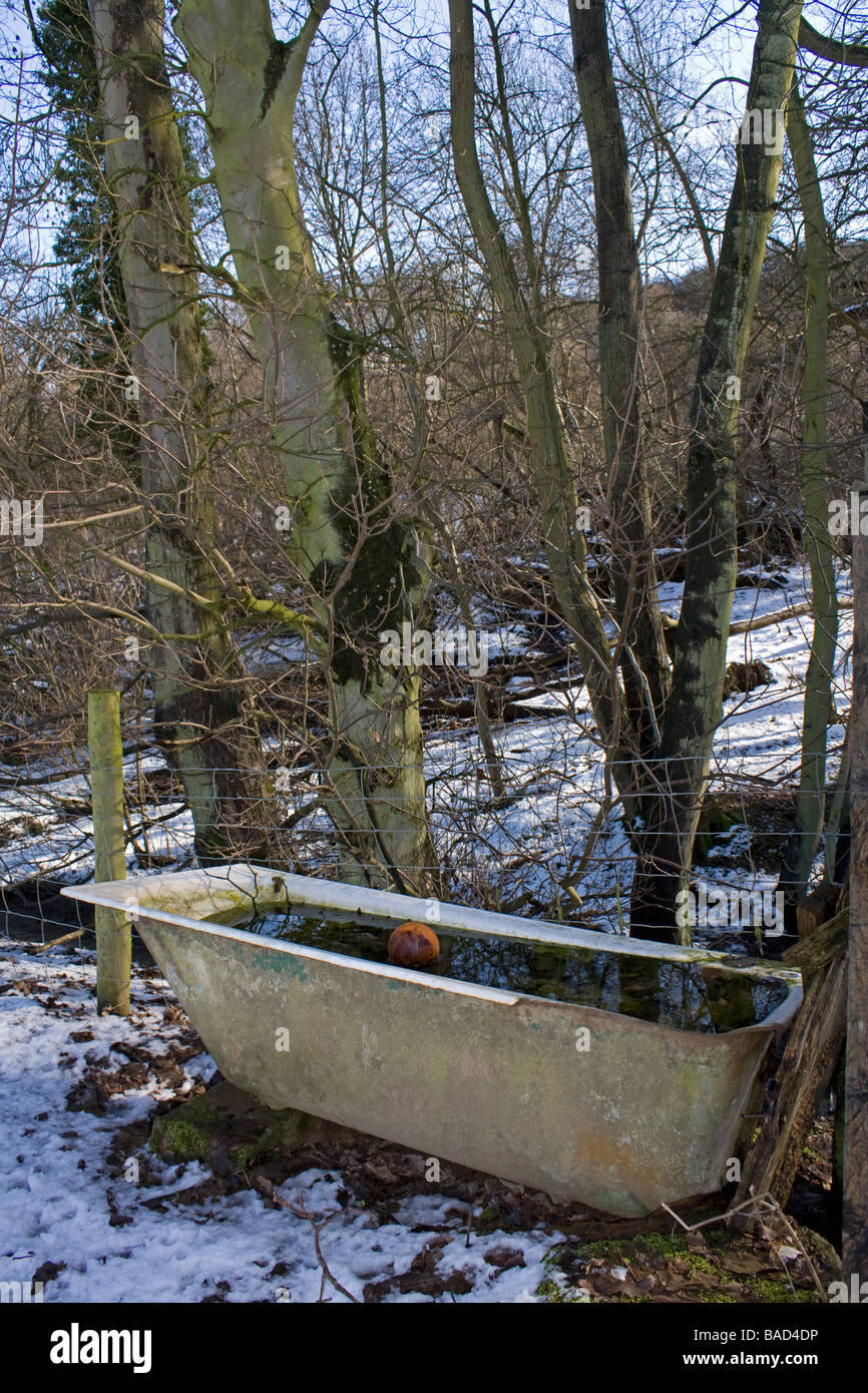 Farm water trough hi-res stock photography and images - Alamy