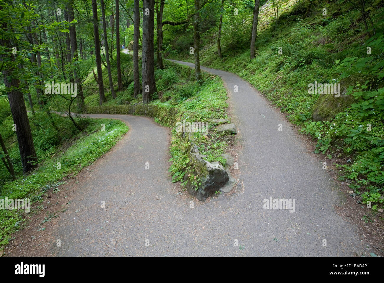 Path divides hi-res stock photography and images - Alamy