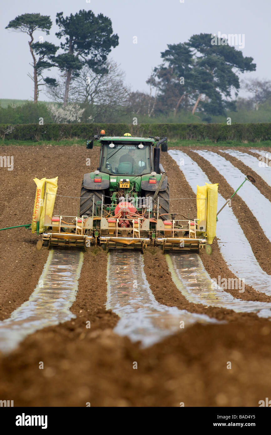 Drilling Maize In Leicstershire Stock Photo - Alamy