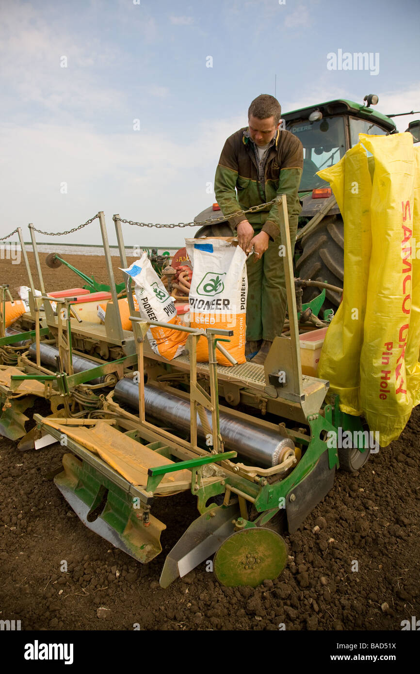 Maize drilling hi-res stock photography and images - Alamy
