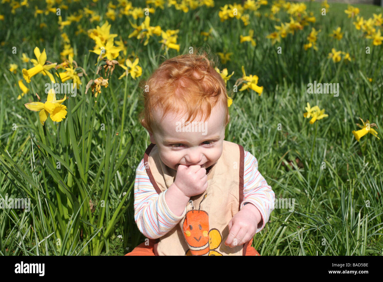Grinning baby with daffodils Stock Photo - Alamy