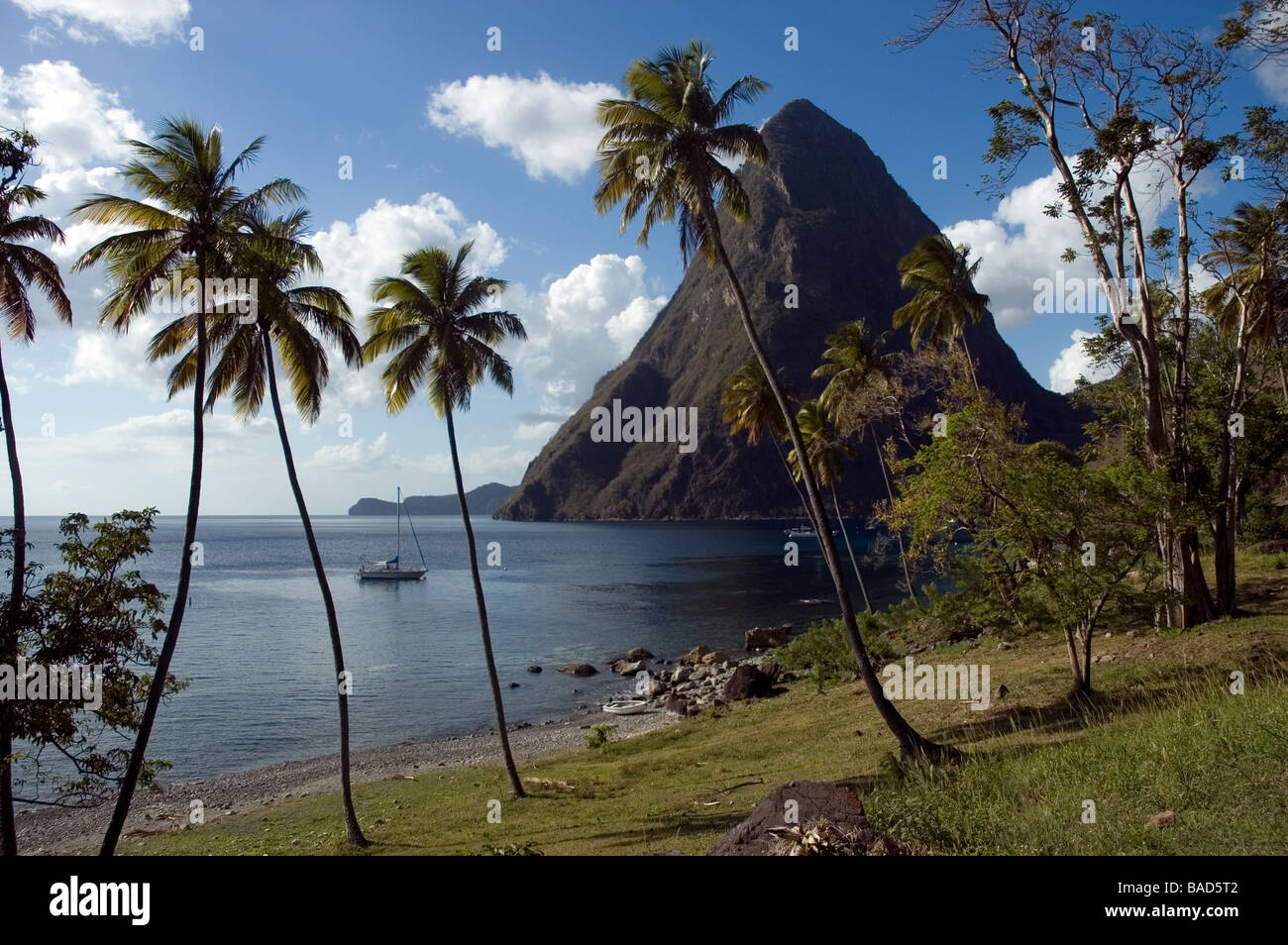 the pitons in Saint-Lucia Stock Photo - Alamy