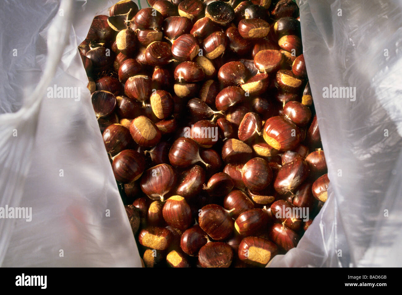 Chestnuts roasting on an open fire hi-res stock photography and images ...