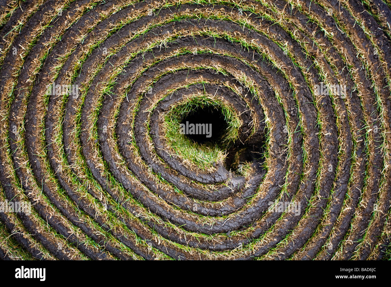 Sod design hi-res stock photography and images - Alamy