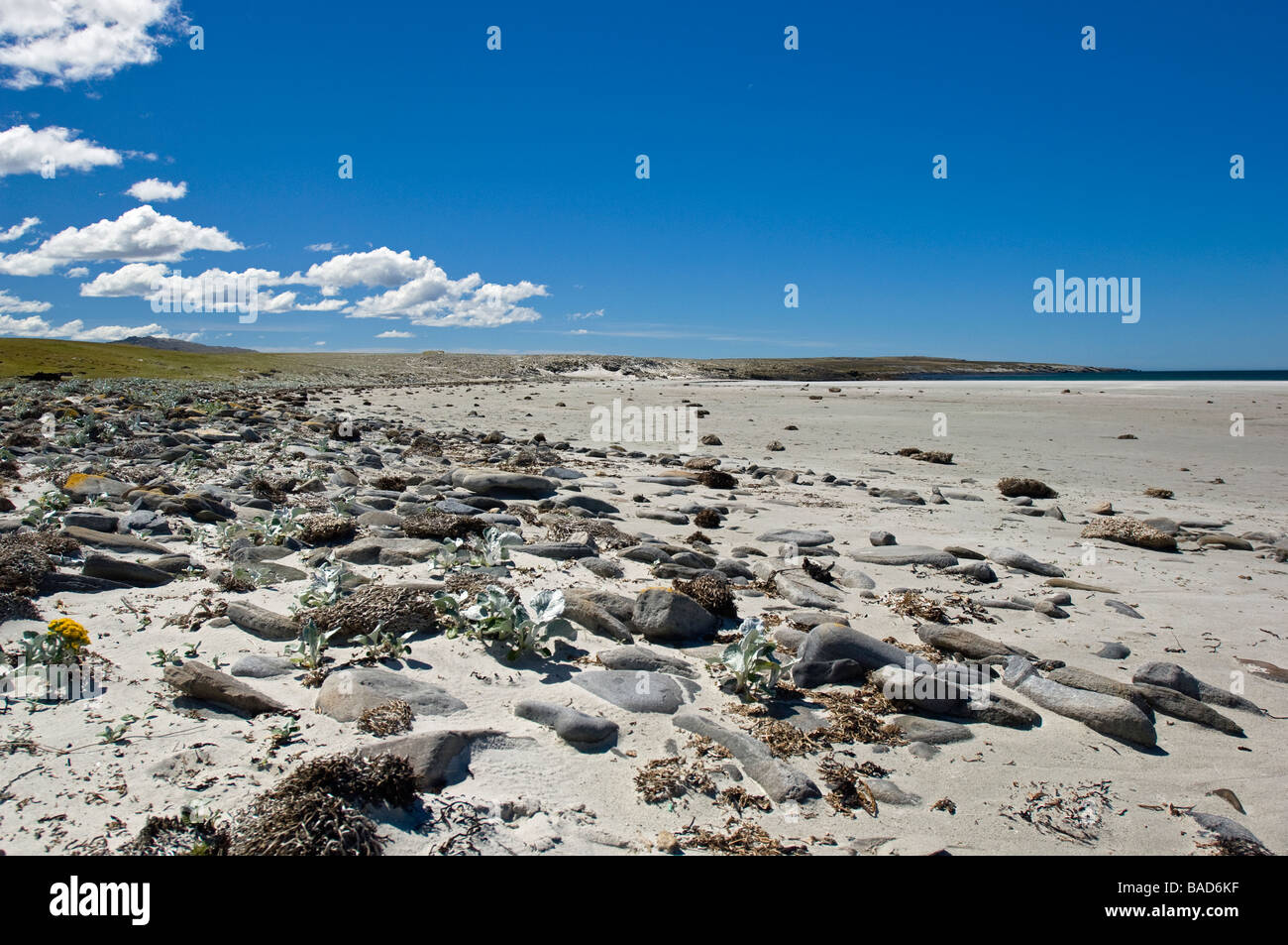 Beautiful Beach at Bluff Cove near Stanley. Falkland Islands Stock ...