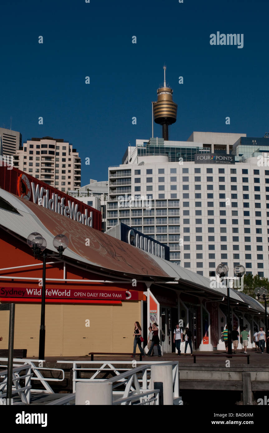 Darling Harbour with Wildlife World Aquarium and Sydney Tower Sydney ...