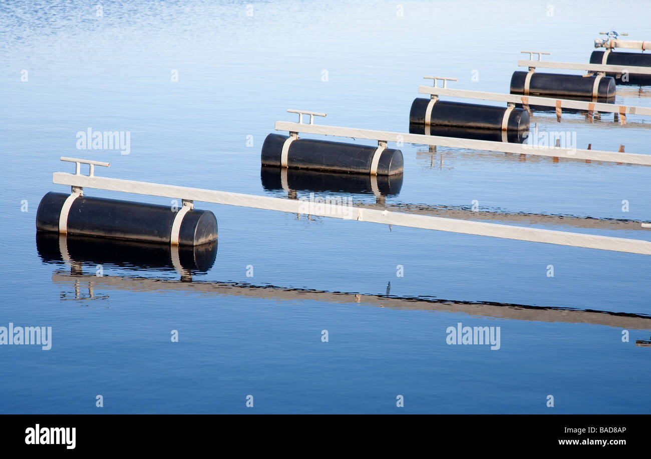 Finger pontoons hi-res stock photography and images - Alamy