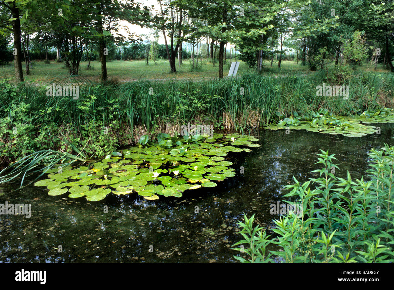 Zelo italy hi-res stock photography and images - Alamy