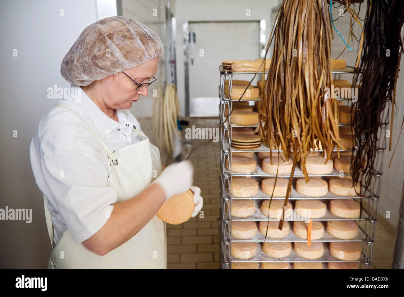 France, Calvados, Pays d'Auge, Saint Pierre sur Dives, Livarot cheese ...