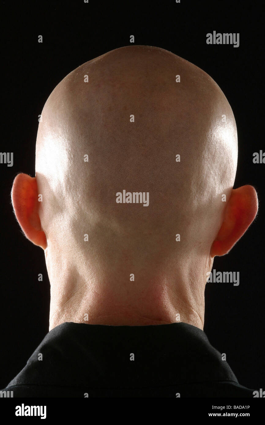 Bald skull hi-res stock photography and images - Alamy