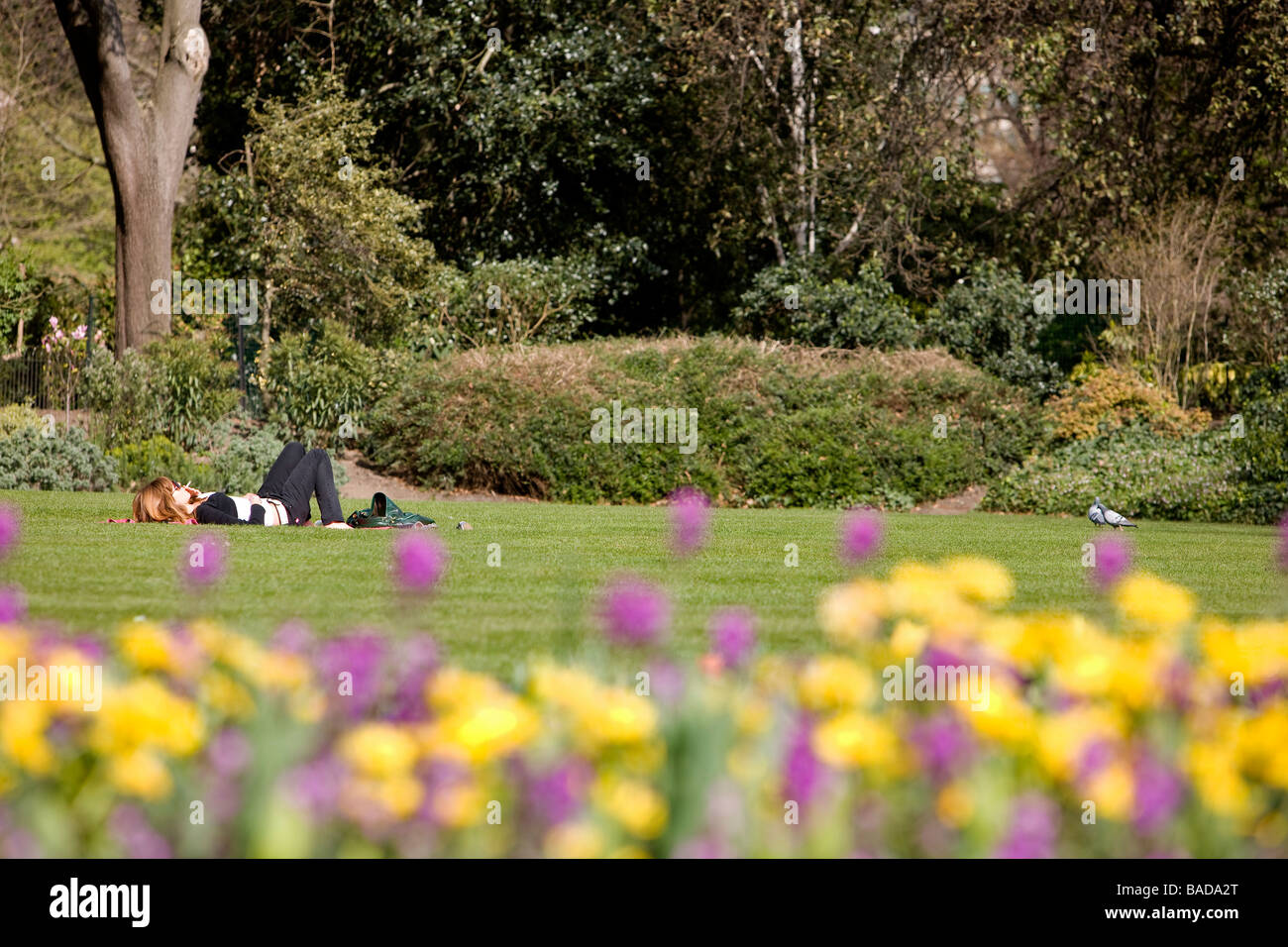 United kingdom london hyde hi-res stock photography and images - Alamy