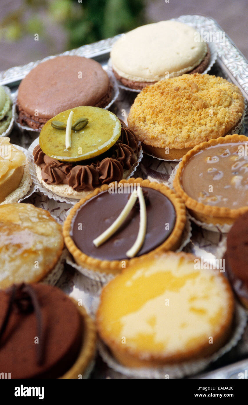 Bizoin hi-res stock photography and images - Alamy