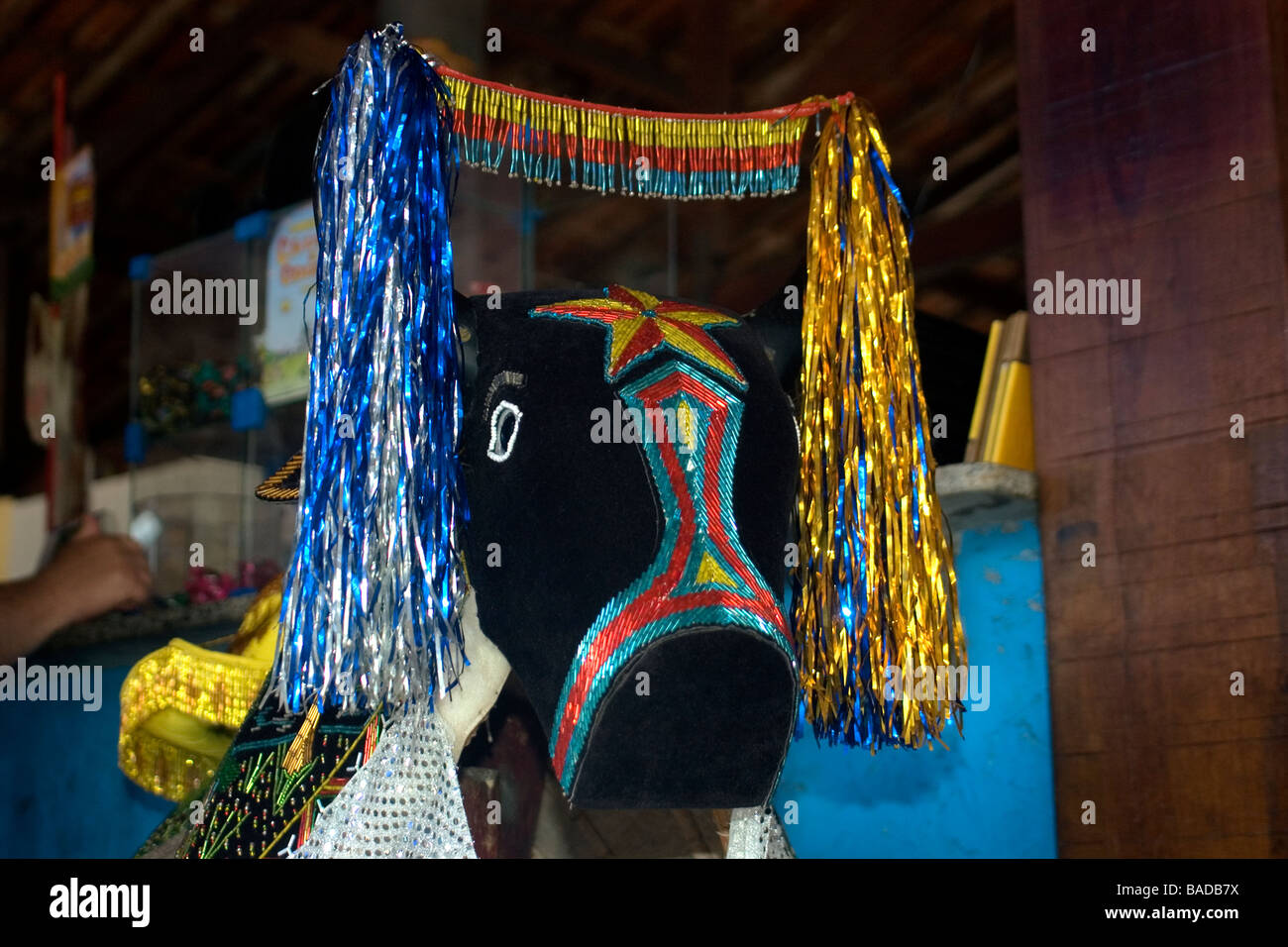 Bumba meu boi traditional dance party celebrating the saints of June on ...