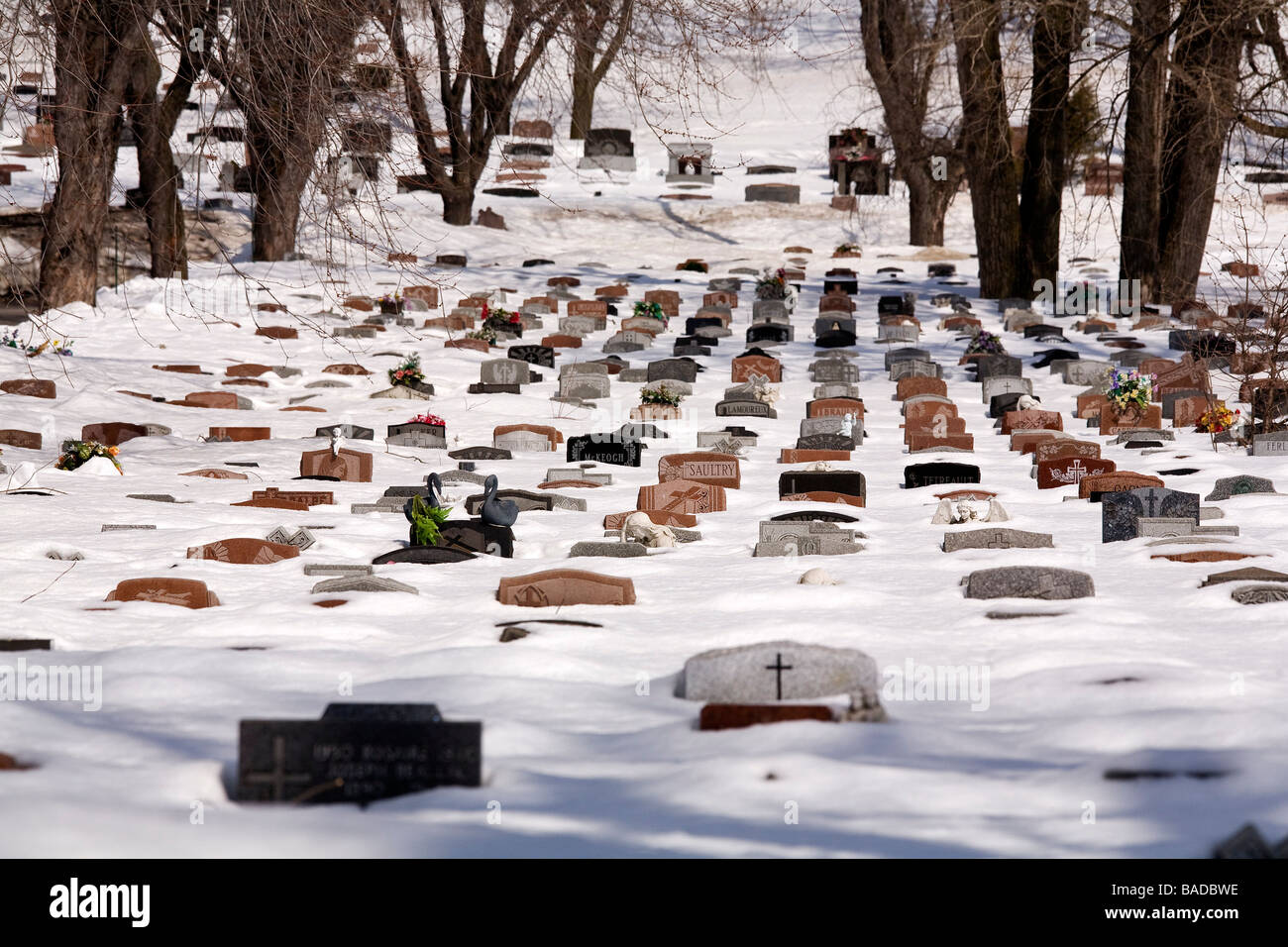Notre dame des neiges, montreal hi-res stock photography and images - Alamy