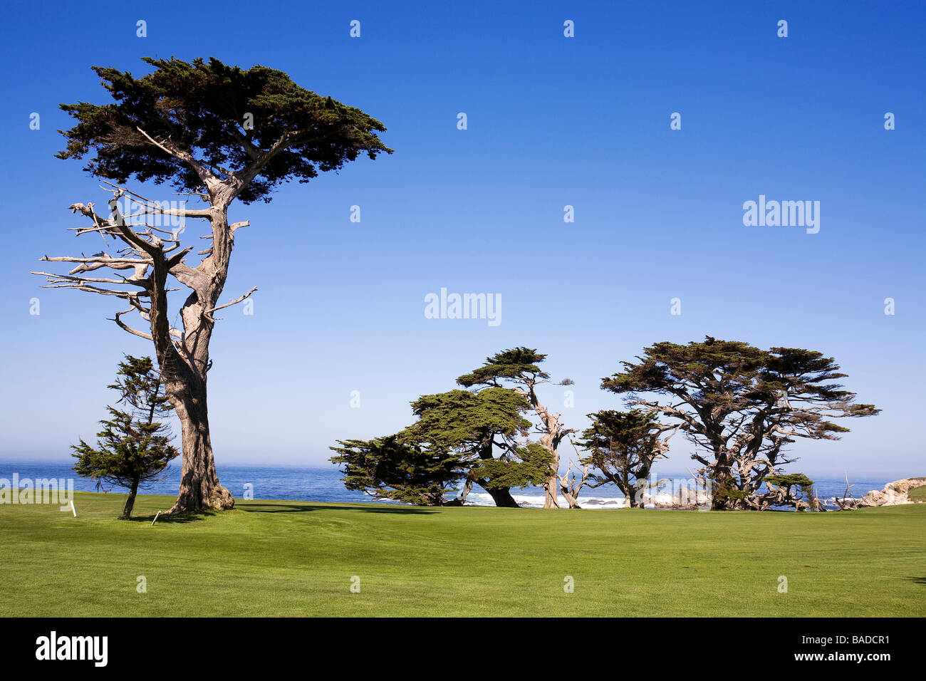 United States, California, Monterey Peninsula, Pebble Beach, 17 Mile ...